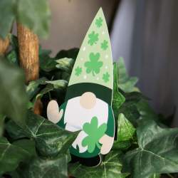 Irish Gnomes / St. Patrick's Day "Irish Gnomes" | Catch My Party