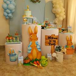 Peter Rabbit / Birthday "Peter Rabbit Birthday Party " | Catch My Party