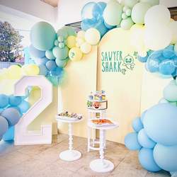 Baby Shark / Birthday "Sawyer Shark’s Two Two Two" | Catch My Party