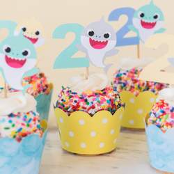 Baby Shark / Birthday "Sawyer Shark’s Two Two Two" | Catch My Party