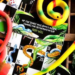 Snake/Reptile Party / Birthday "WILLIAM’S JUNGLE SNAKE PARTY" | Catch ...