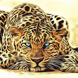 Teen Leopard Slumber Party / Birthday "Londyn’s 1️⃣3️⃣ Teen Leopard ...