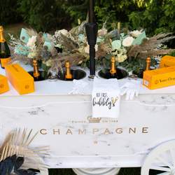 Outback/Australian / Birthday "Cobe's Outback Adventure" | Catch My Party