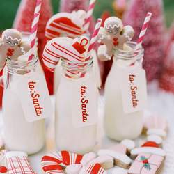 North Pole / Christmas/Holiday "North Pole Party" | Catch My Party