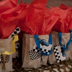Cars / Birthday "Radiator Springs Raceway" | Catch My Party