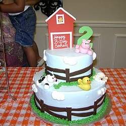 Farm/Barnyard / Birthday "Old MacSohan's Farm Birthday Party" | Catch ...