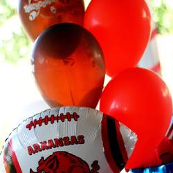 Arkansas Razorbacks / Birthday "Hog Wild 1st Birthday" | Catch My Party