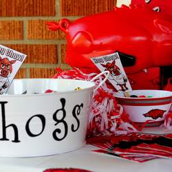 Arkansas Razorbacks / Birthday "Hog Wild 1st Birthday" | Catch My Party