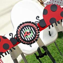Ladybug / Birthday "Ladybug Picnic" | Catch My Party