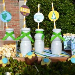 Earth Day! / Earth Day Celebration "Reduce, Reuse, Recycle!" | Catch My ...