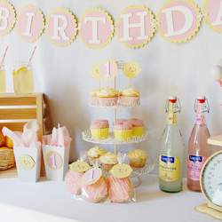 Pink Lemonade / Birthday "Pink Lemonade First Birthday" | Catch My Party