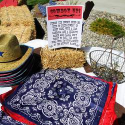 Cowboy and Cowgirl / Birthday "Western Roundup Rodeo" | Catch My Party