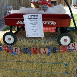 Cowboy and Cowgirl / Birthday "Western Roundup Rodeo" | Catch My Party