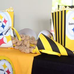 Football/Steelers / Sports Party "NFL Game Day" | Catch My Party