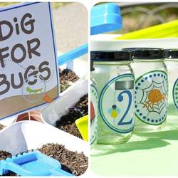 bugs & insects! / Birthday "Bug Birthday Party" | Catch My Party