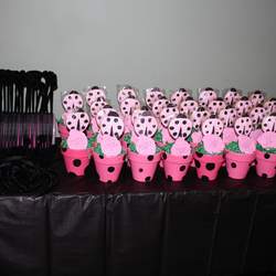 Ladybug pink and black / Birthday "Kaylee bug's First Birthday" | Catch ...