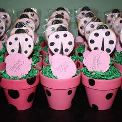 Ladybug pink and black / Birthday "Kaylee bug's First Birthday" | Catch ...