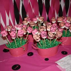 Ladybug pink and black / Birthday "Kaylee bug's First Birthday" | Catch ...