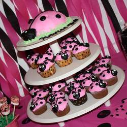 Ladybug pink and black / Birthday "Kaylee bug's First Birthday" | Catch ...