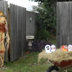Halloween "Outdoor Halloween Fun" | Catch My Party