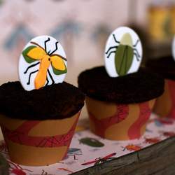 Bugs and Insects / Birthday "Bug Bash Collection" | Catch My Party