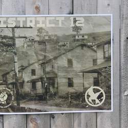 Hunger Games / Birthday "B's 13th Annual Hunger Games Birthday Party ...