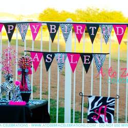 Birthday "Zebra Birthday Party" | Catch My Party