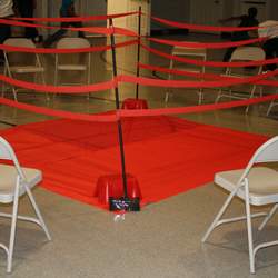 Boxing / Birthday "Justin's Boxing Party" | Catch My Party