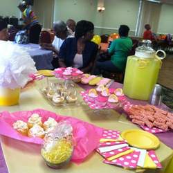 Pink Lemonade / Fundraiser "LoSalem's Annual Rainbow Tea" | Catch My Party