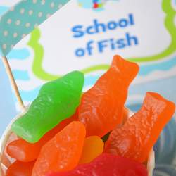 Birthday "Rainbow Fish Party" | Catch My Party