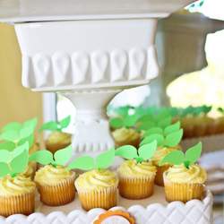 Citrus / Wedding "Citrus Wedding Shoot" | Catch My Party