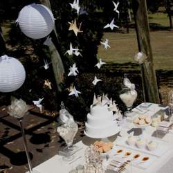 Origami Picnic / Bridal/Wedding Shower "Origami Picnic in the Park ...