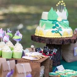 PRINCESS AND THE FROG / Birthday "Bayou Bash" | Catch My Party