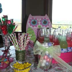 hoot owl, owl / Birthday "Night Owl Sleepover" | Catch My Party