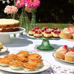 Pretty Summer Picnic / Tea Party "Picnic High Tea Party" | Catch My Party