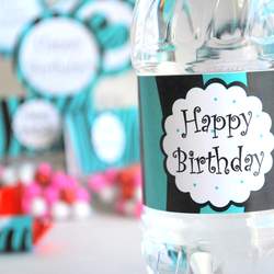 Turquoise And Black Zebra 13th Birthday Party / Birthday "Turquoise And ...