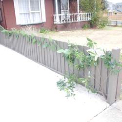 Tinkerbell / Birthday "Vaeda's Tinkerbell Party" | Catch My Party