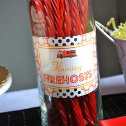 Fire Truck / Birthday "Sound the Alarm Firehouse Party" | Catch My Party