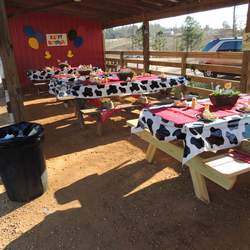 Farm/Barnyard / Birthday "Barnyard Bash" | Catch My Party