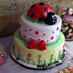 Lady bugs / Baby Shower "Baby Bug Baby Shower" | Catch My Party