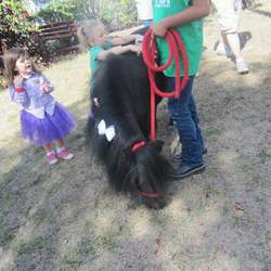 Cowboy theme / Birthday "Ryland's Buckaroo Bash! 1st Birthday!" | Catch ...