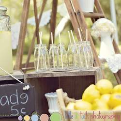 Vintage Lemonade Stand / Vintage Lemonade Stand Inspiration Shoot ...