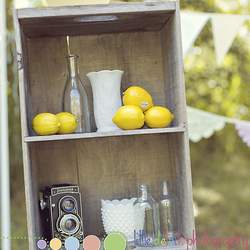 Vintage Lemonade Stand / Vintage Lemonade Stand Inspiration Shoot ...