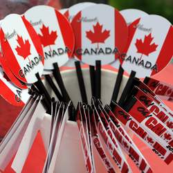 Canada Day "Oh Canada" | Catch My Party