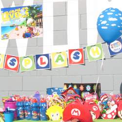 Super Mario Bros / Birthday "Super Mario Sunshine Pool Party" | Catch ...