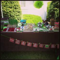 Minecraft & Video Games / Birthday "Jason & Zach's Minecraft 11th ...