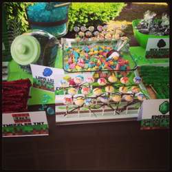 Minecraft & Video Games / Birthday "Jason & Zach's Minecraft 11th ...