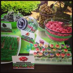 Minecraft & Video Games / Birthday "Jason & Zach's Minecraft 11th ...