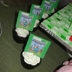 Minecraft / Birthday "Minecraft 10th Birthday" | Catch My Party