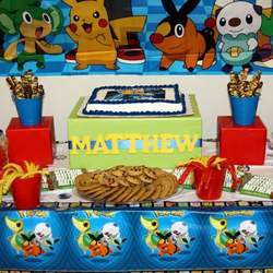 Pokemon/ Nerf War / Birthday "Matthew's Pokemon Nerf War Royale ...